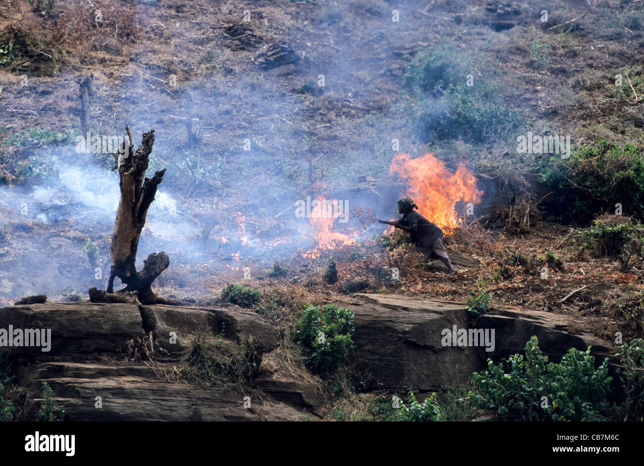 Farmer using slash and burn technique to clear a field to plant crops ...