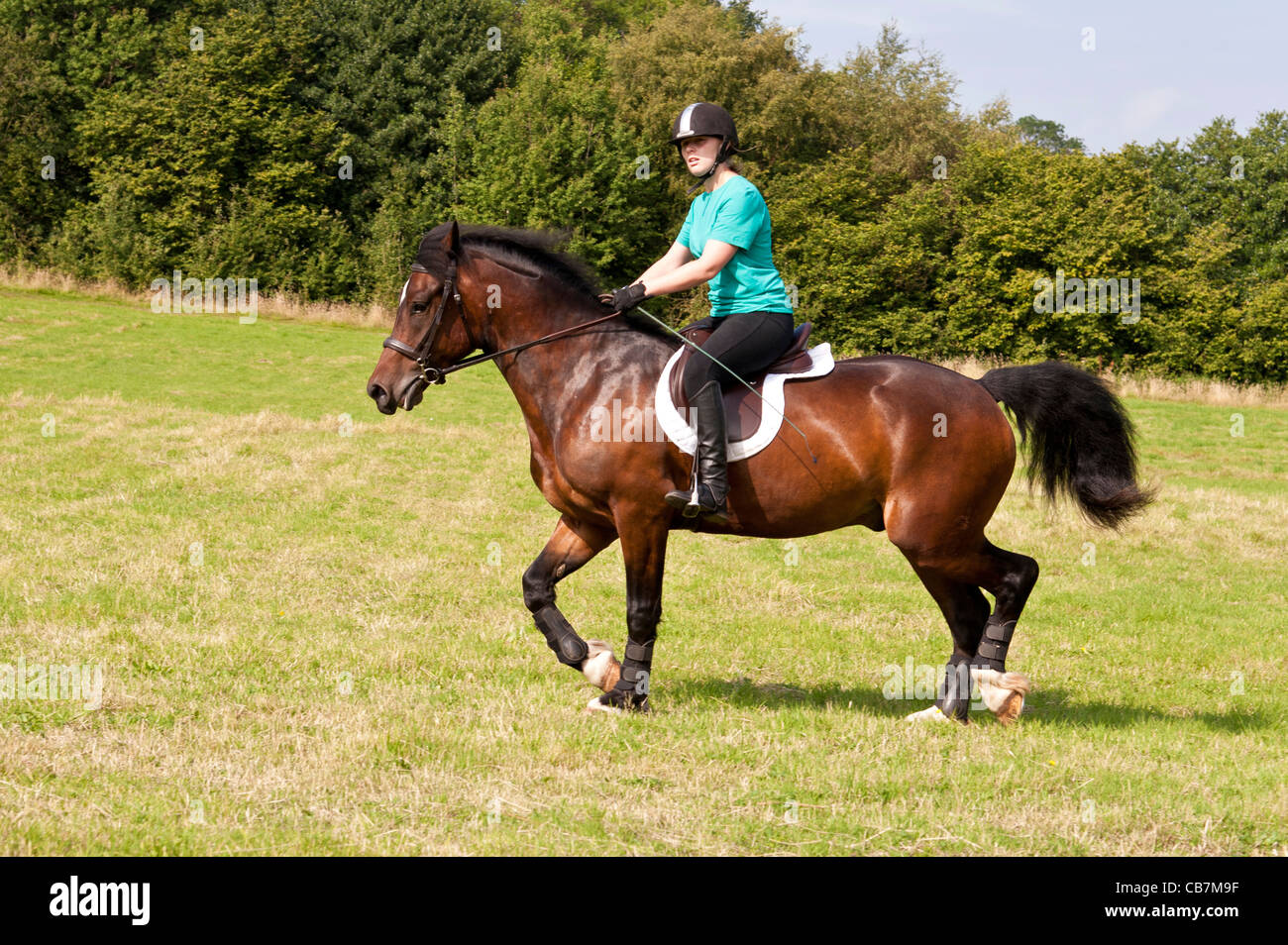 Riding crop hi-res stock photography and images - Alamy