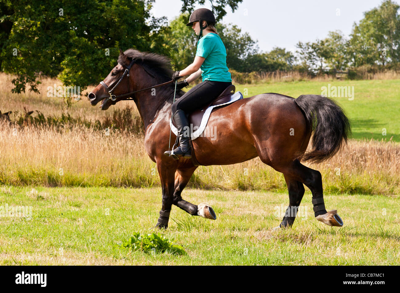 Riding crop hi-res stock photography and images - Alamy