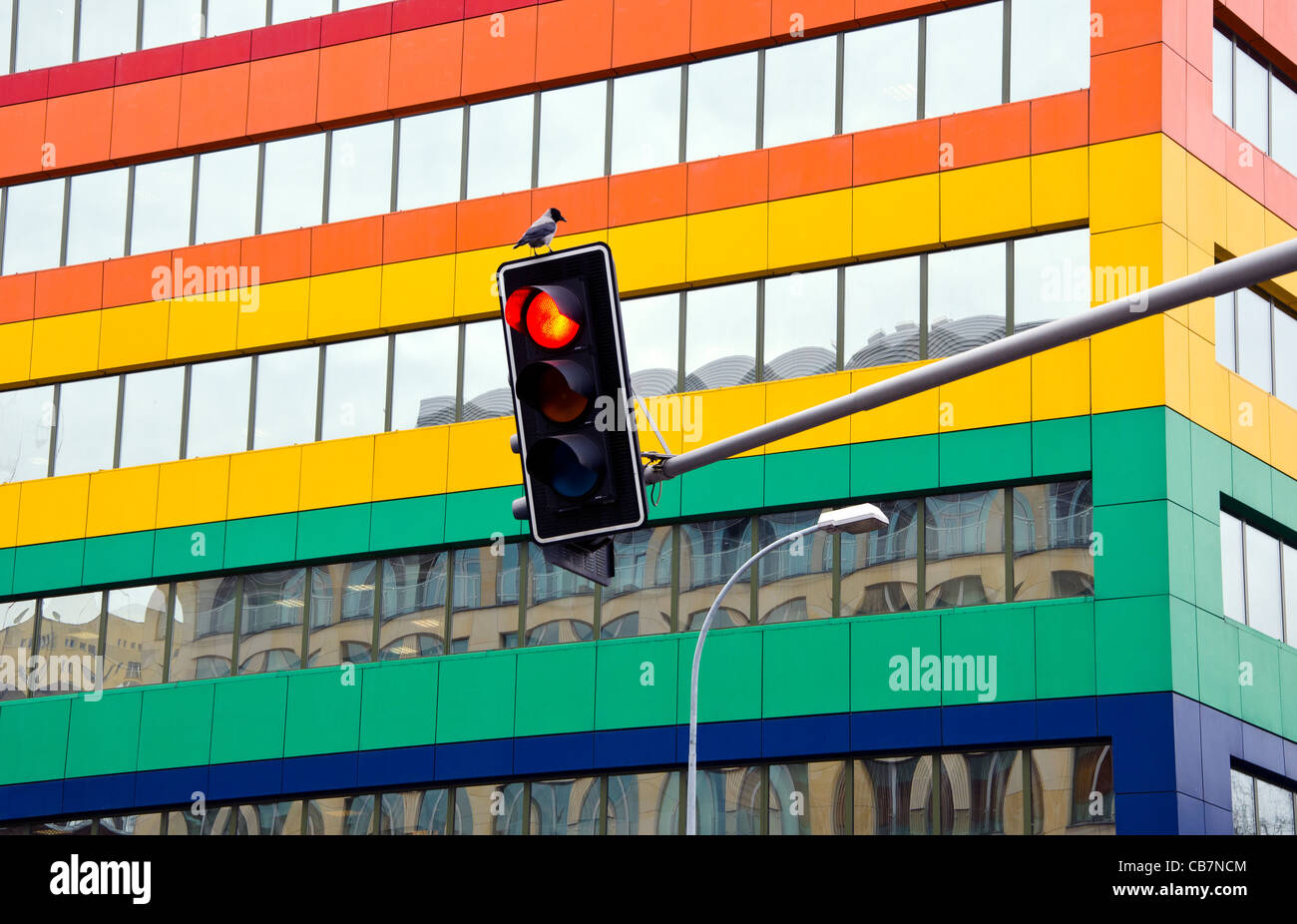 stoplight in the street and crow on colorful house background Stock ...