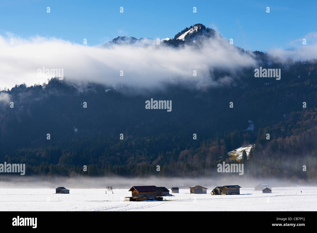 Cold fog creeping in Stock Photo - Alamy