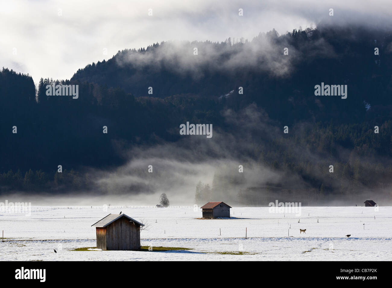 Cold fog creeping in Stock Photo - Alamy