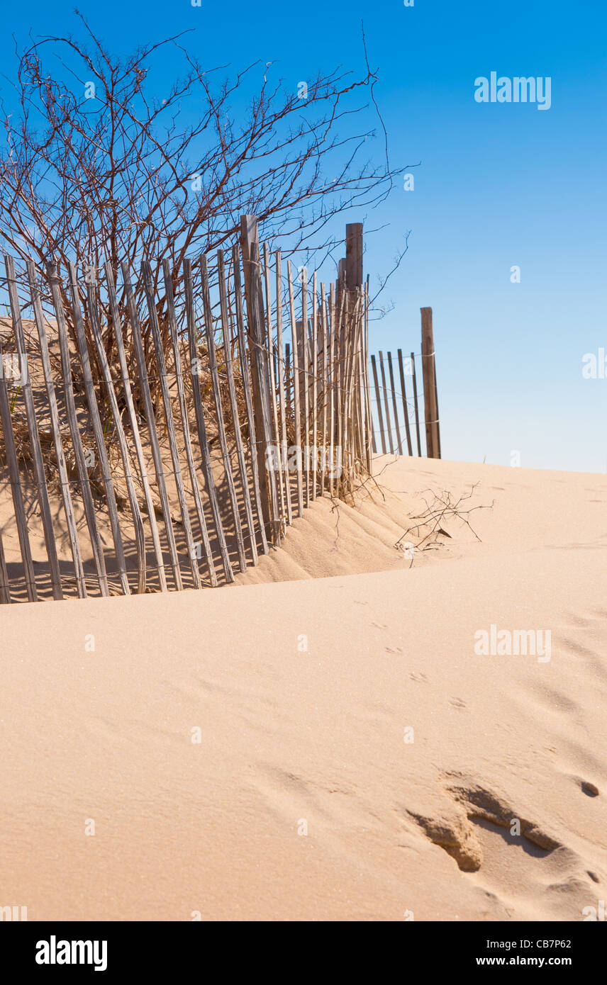 Cape cod sand dunes hi-res stock photography and images - Alamy