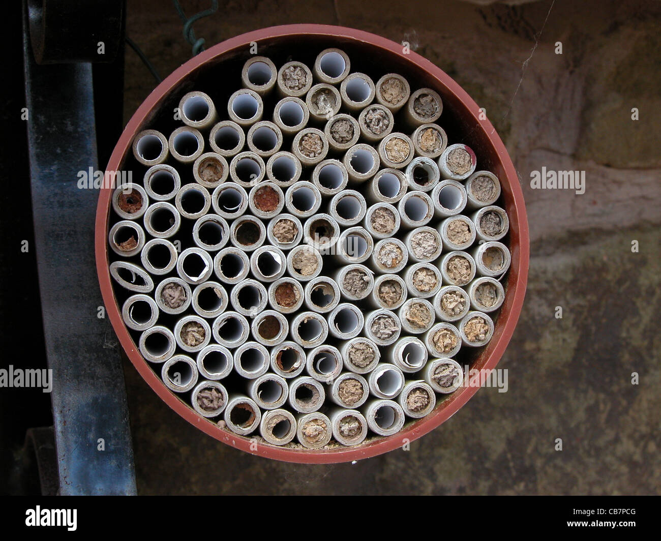 Solitary nests hi-res stock photography and images - Alamy