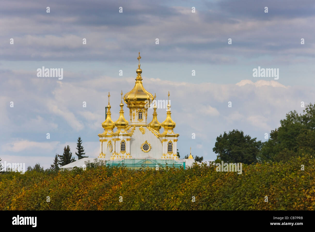 Peterhof Petrodvorest Palace, Saint Petersburg, Russia Stock Photo - Alamy