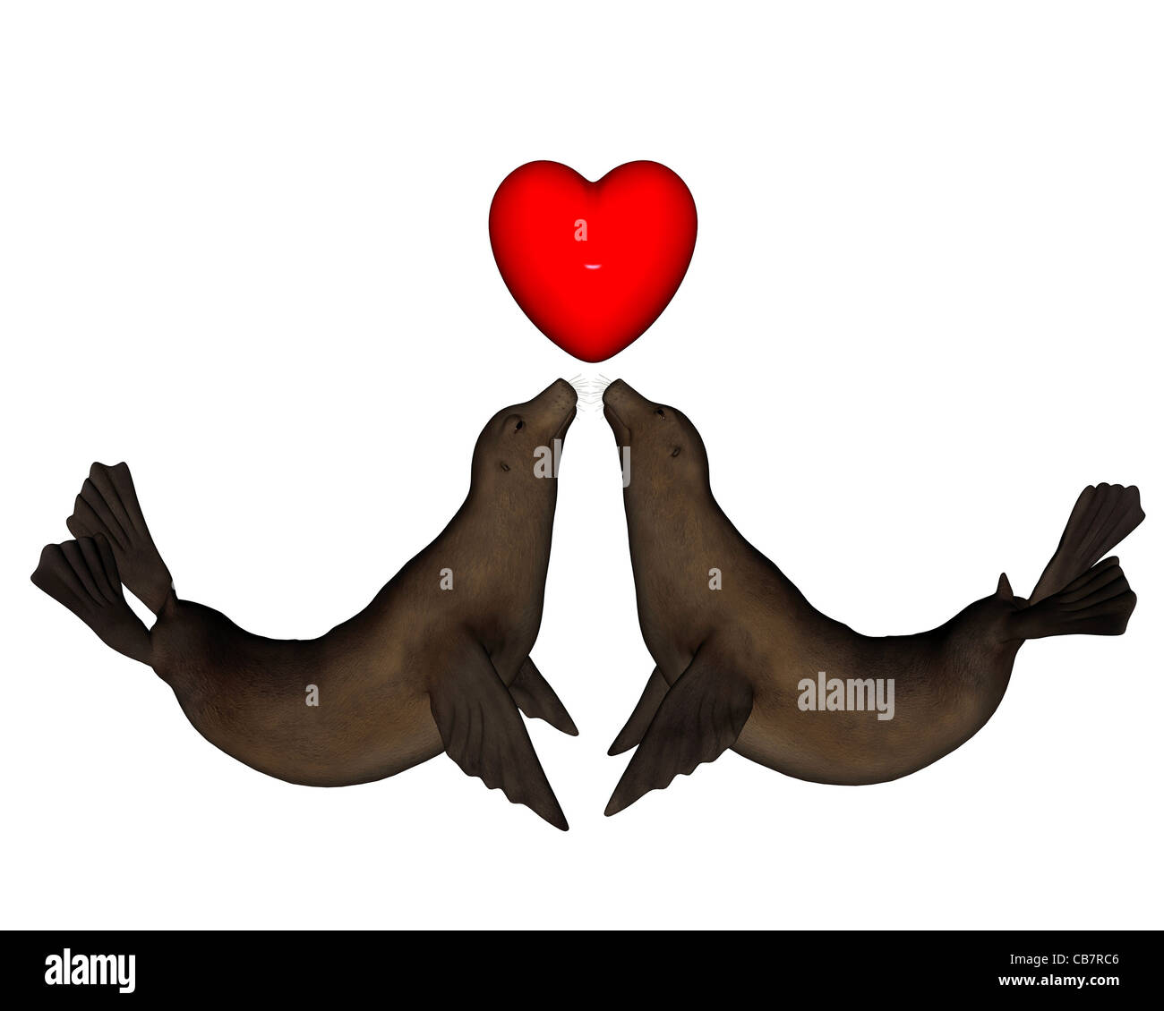 Two seals Cut Out Stock Images & Pictures - Alamy