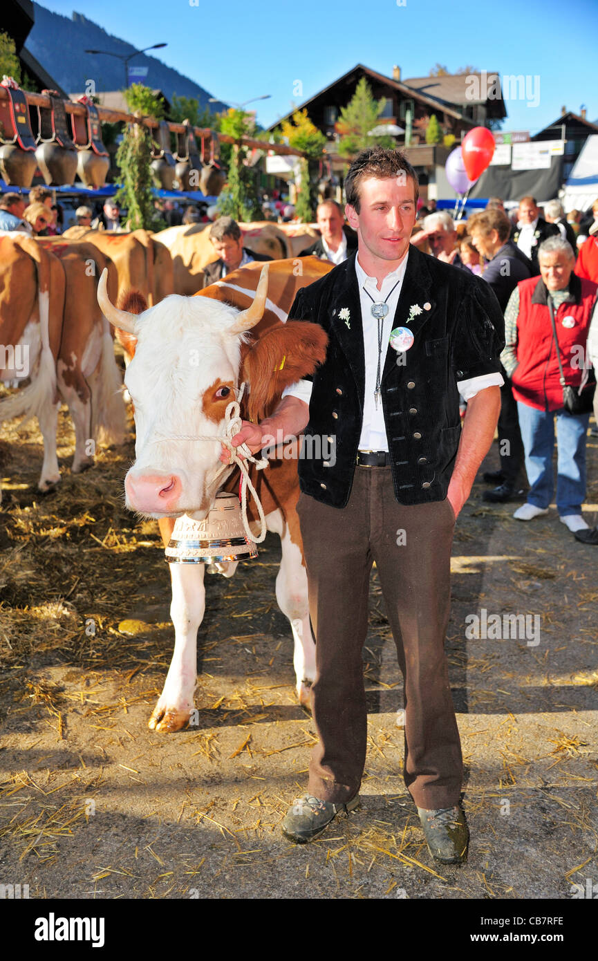 A Swiss farmer in traditional dress, with his prizewinning Simmental ...