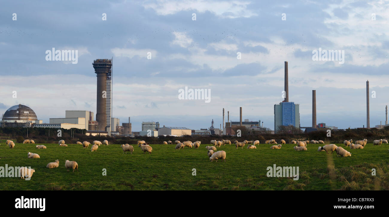 Sellafield hi-res stock photography and images - Alamy