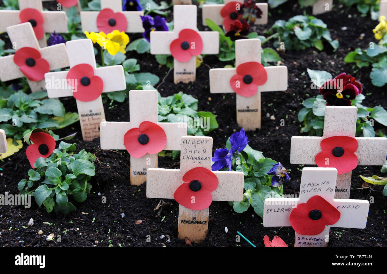 Poppies uk hi-res stock photography and images - Alamy