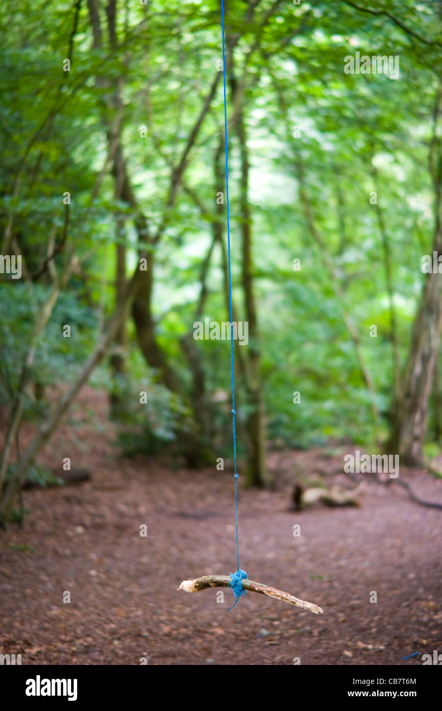 Rope swing in a forest in the summer with green leaves on the trees and ...
