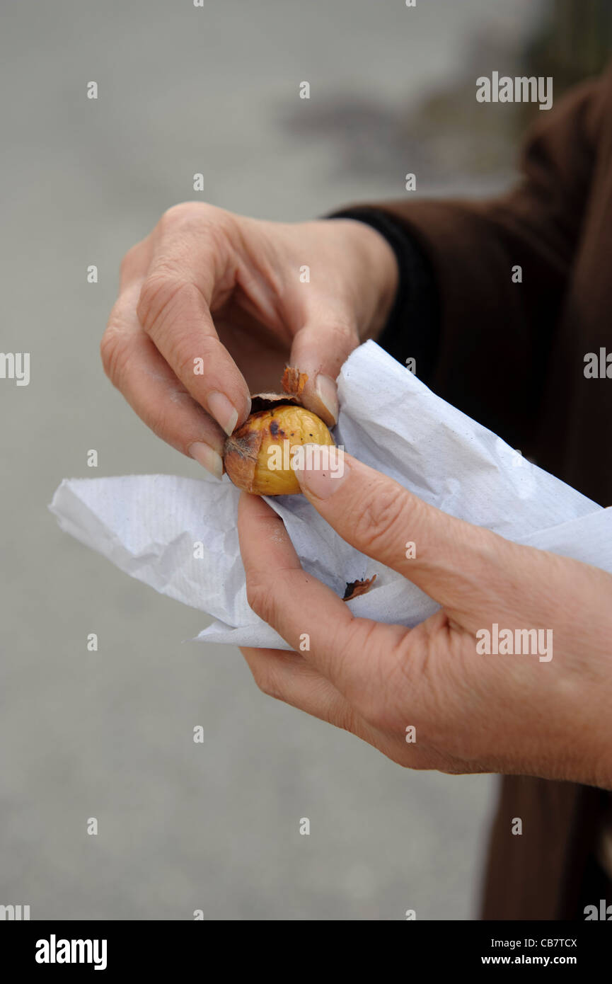 Peeling chestnut hi-res stock photography and images - Alamy