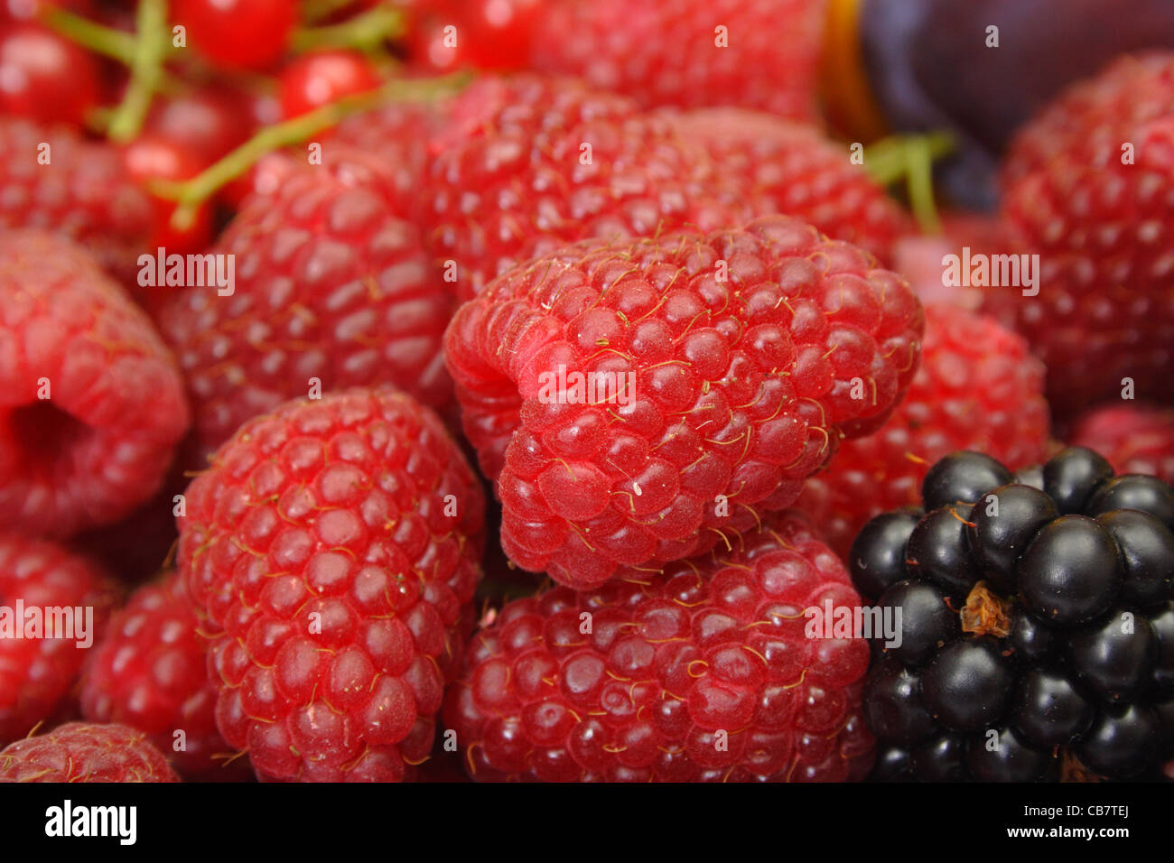 Group of Raspberries - the abstract food background Stock Photo - Alamy