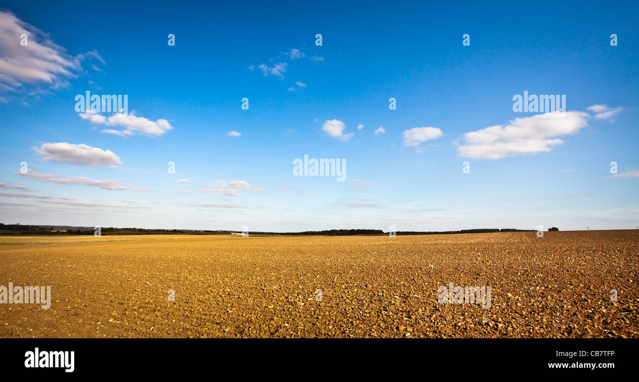 East anglia landscape Stock Photo - Alamy