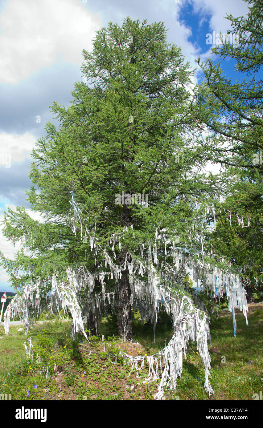 Asian shamanism hi-res stock photography and images - Alamy