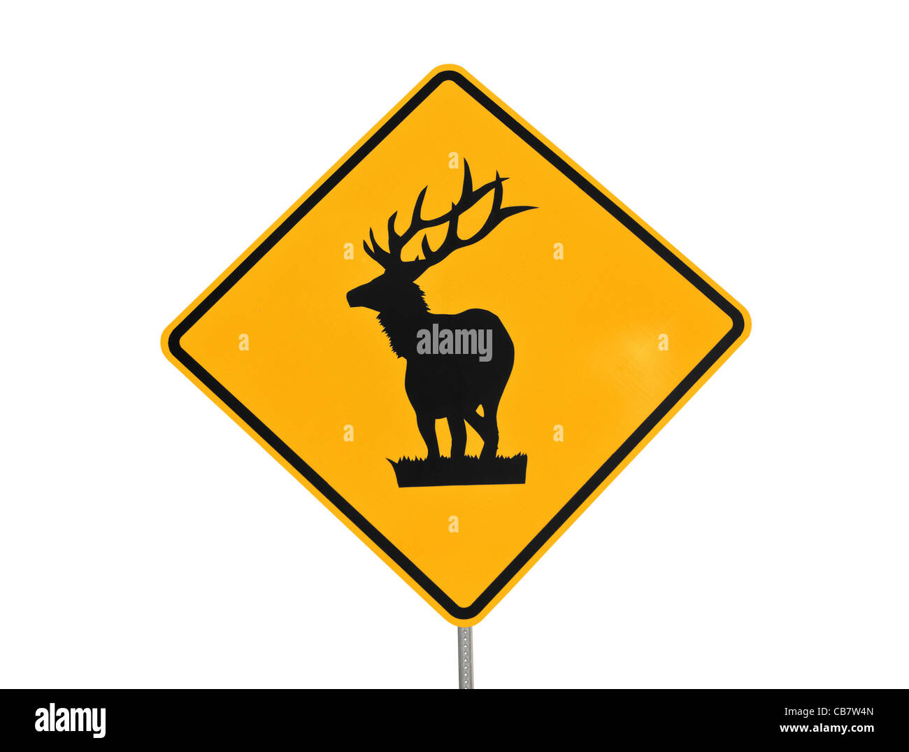 Elk crossing caution sign isolated on white Stock Photo - Alamy