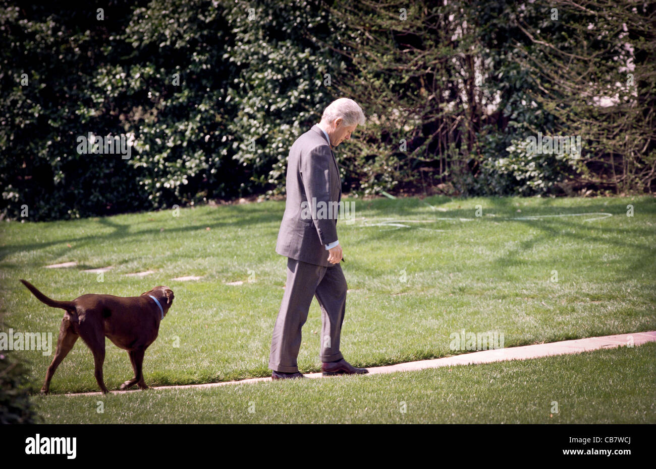US President Bill Clinton walks with his dog Buddy to the Oval Office ...