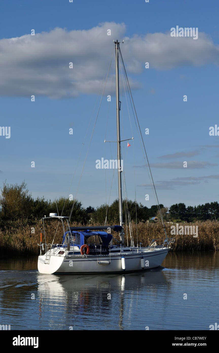 Near wareham hi-res stock photography and images - Alamy