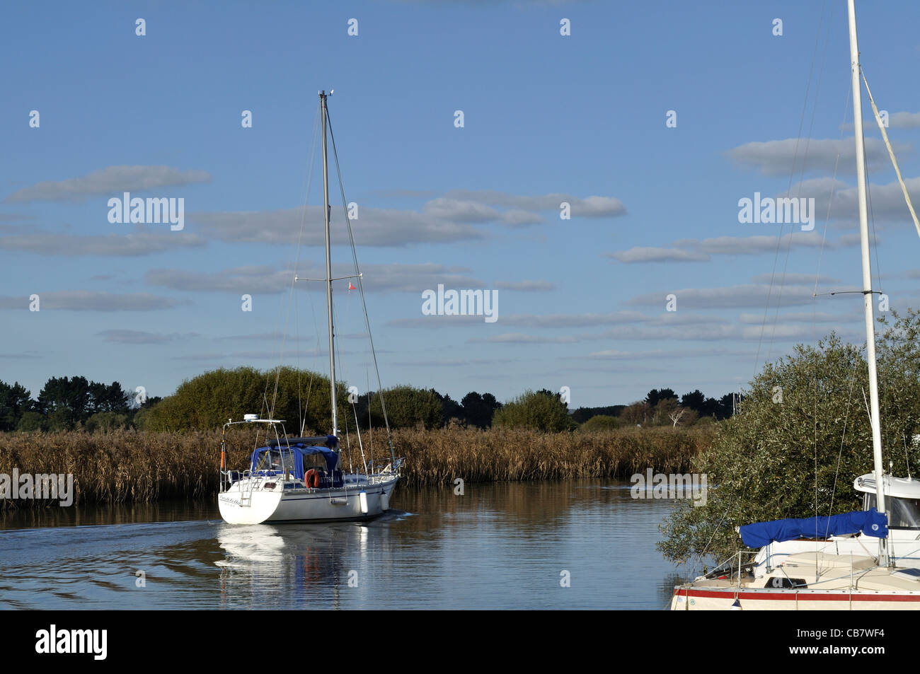 Near wareham hi-res stock photography and images - Alamy