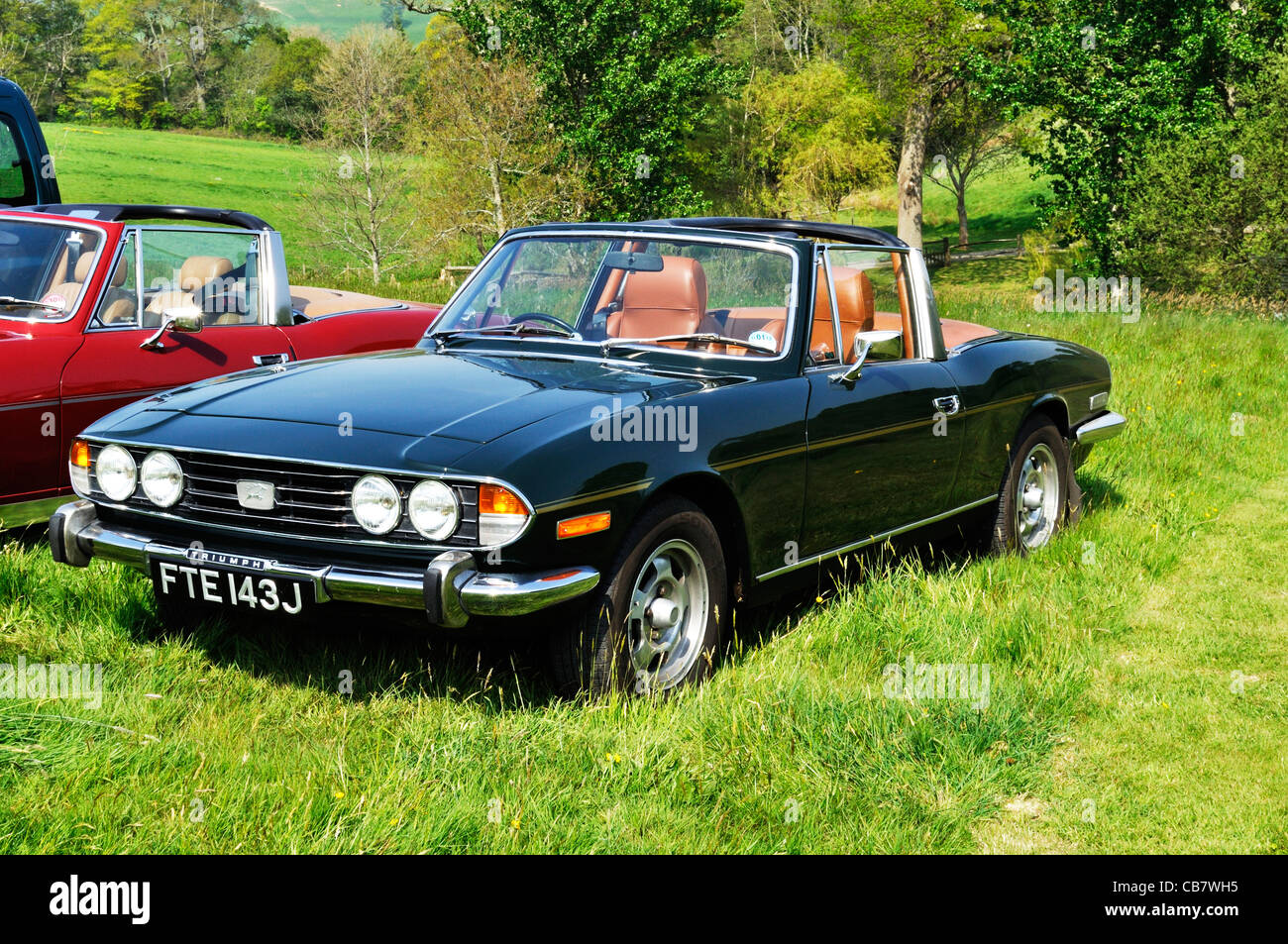 Mark I Triumph Stag, distinguished by the grey backing to the emblem on ...