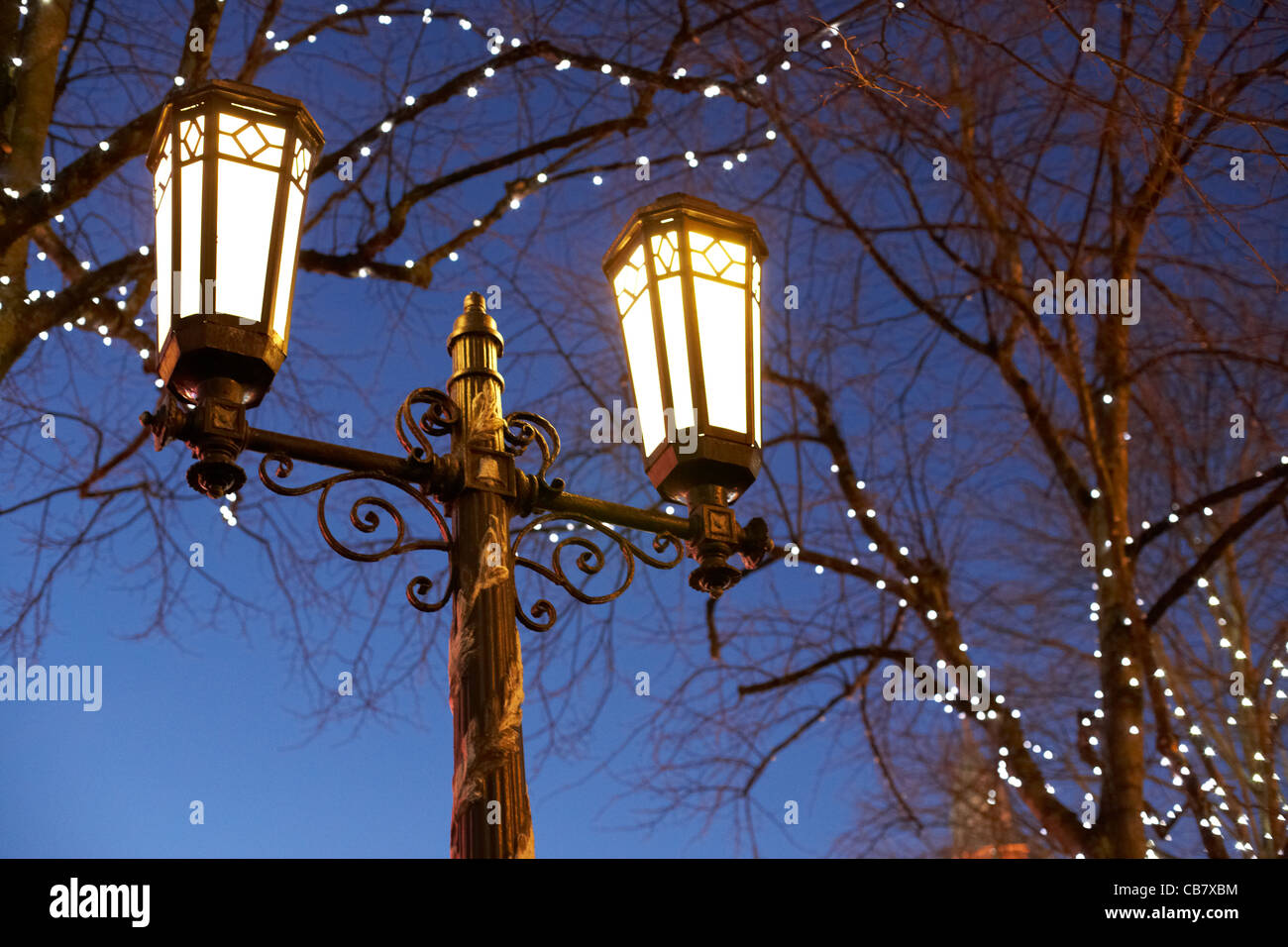 old style streetlights outside belfast city hall illuminated with ...
