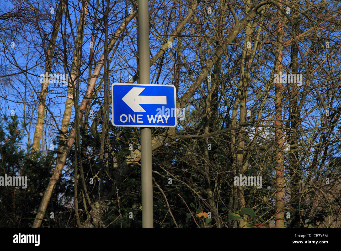 one way sign white arrow on blue background Stock Photo - Alamy