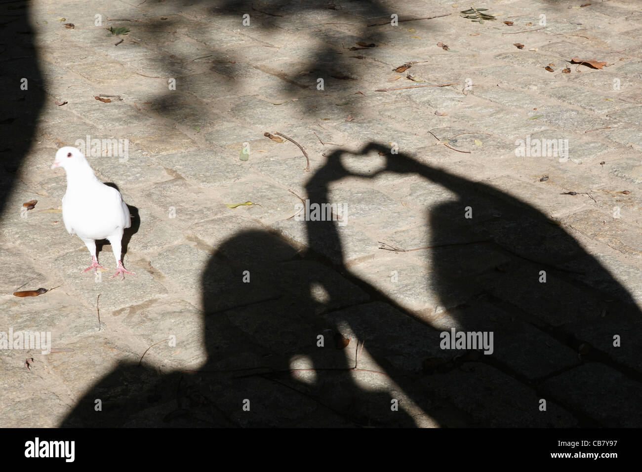 shadow heart with hands Stock Photo - Alamy