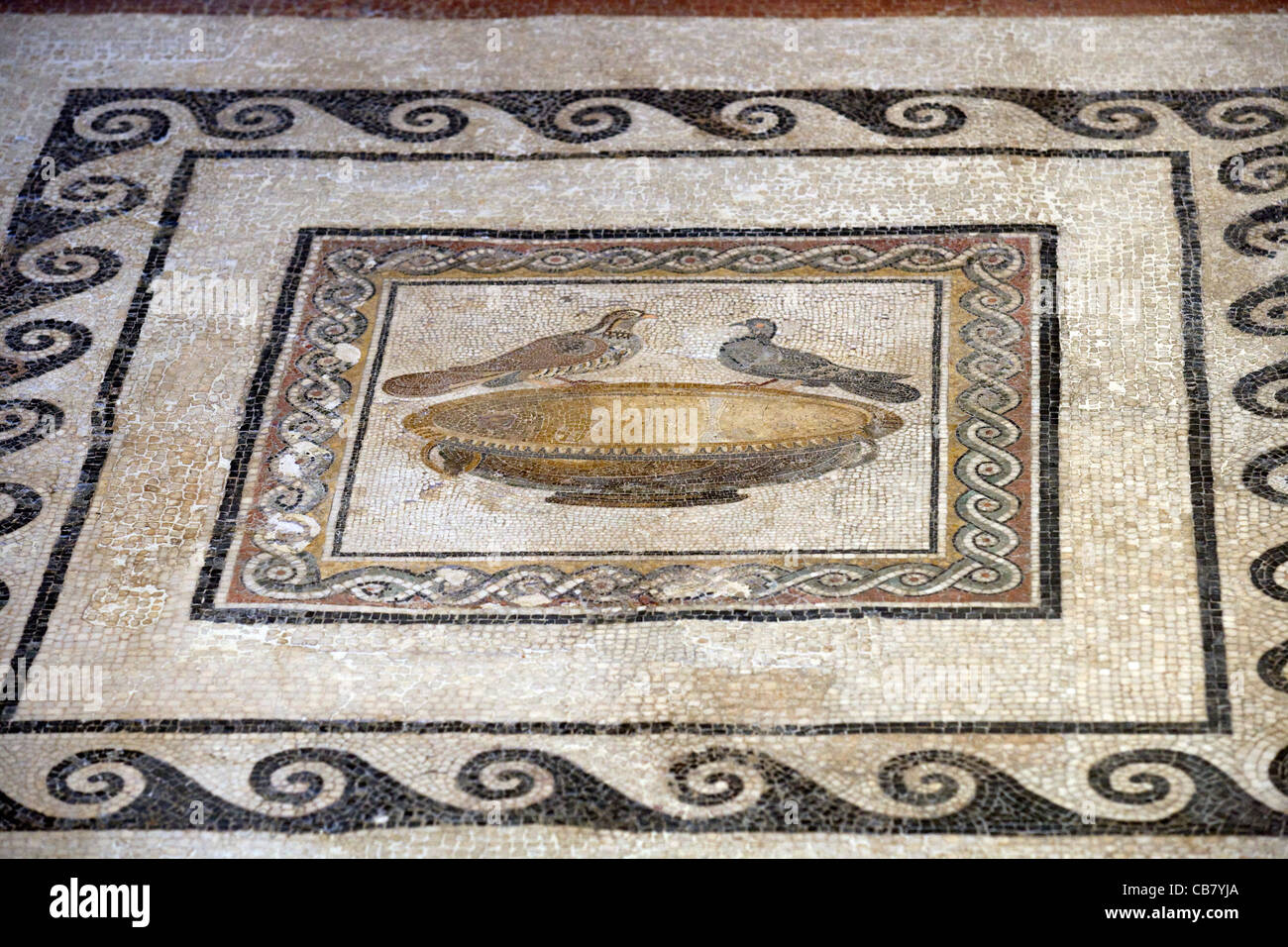 Mdina: Roman Domus - the 'drinking doves' mosaic Stock Photo - Alamy