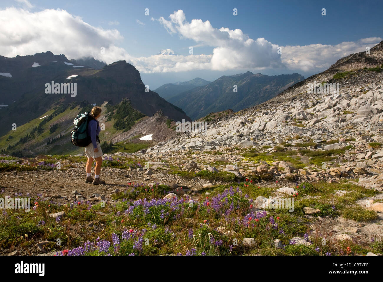 WASHINGTON - Hiker viewing Mount Rainier from the Pacific Crest Trail ...