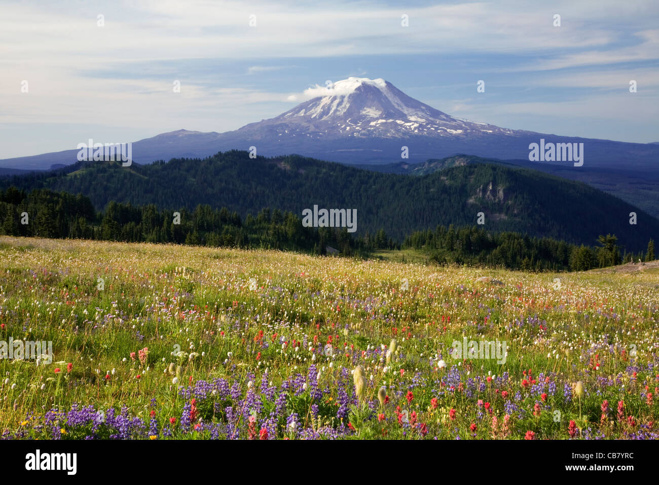 Mount adams viewed from hi-res stock photography and images - Alamy