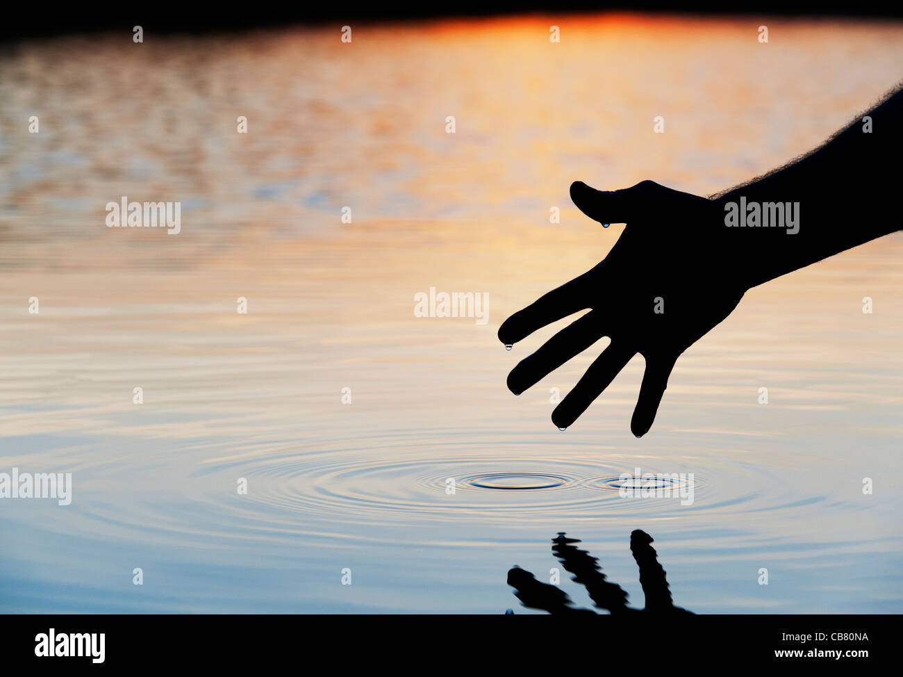 Hand touching water causing ripple at sunrise silhouette Stock Photo ...