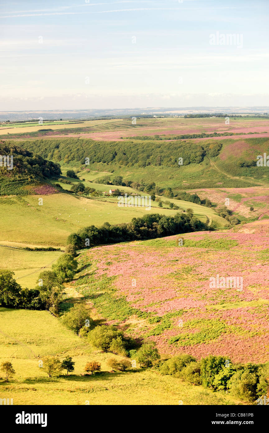 Moors farm rural hi-res stock photography and images - Alamy