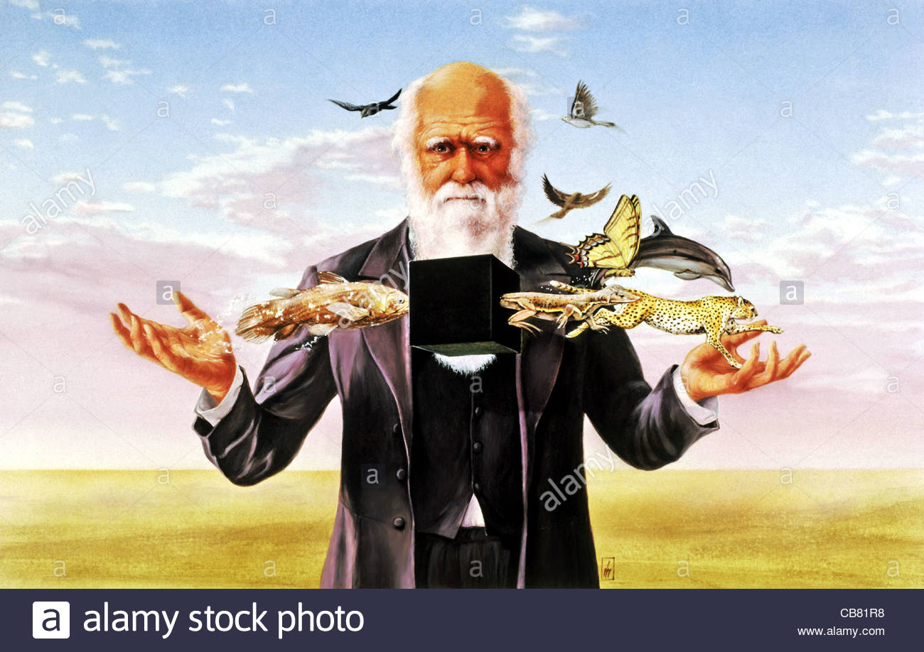 Darwin Illustration Stock Photos & Darwin Illustration Stock Images - Alamy