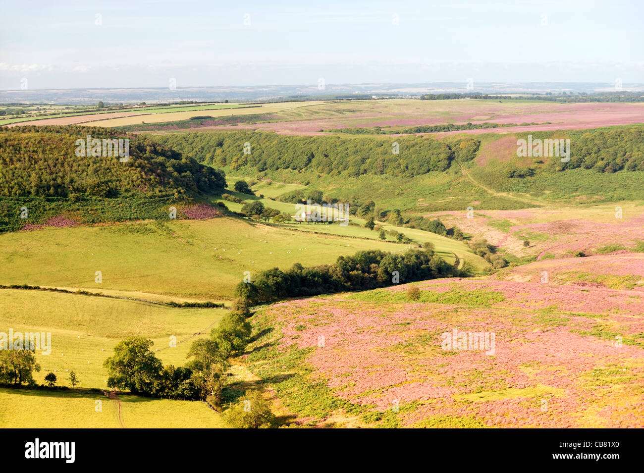 Moors farm rural hi-res stock photography and images - Alamy
