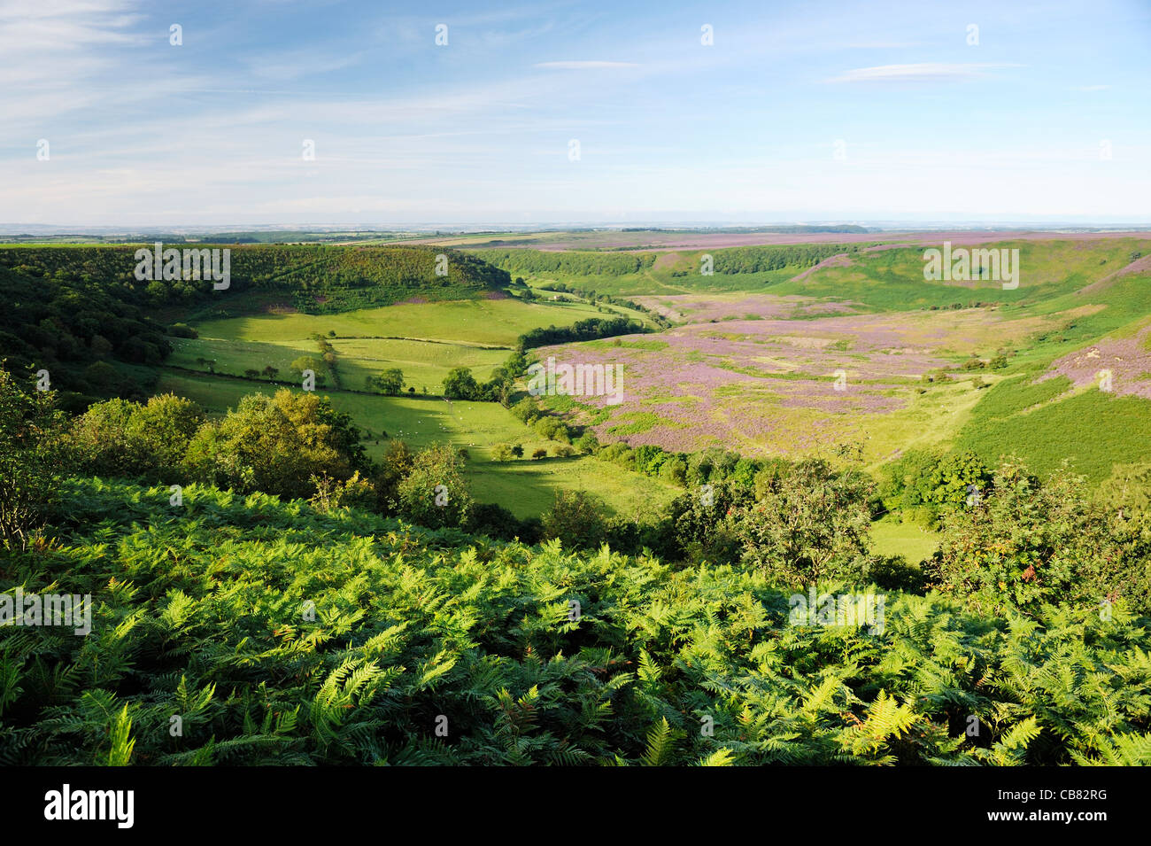 Moors farm rural hi-res stock photography and images - Alamy