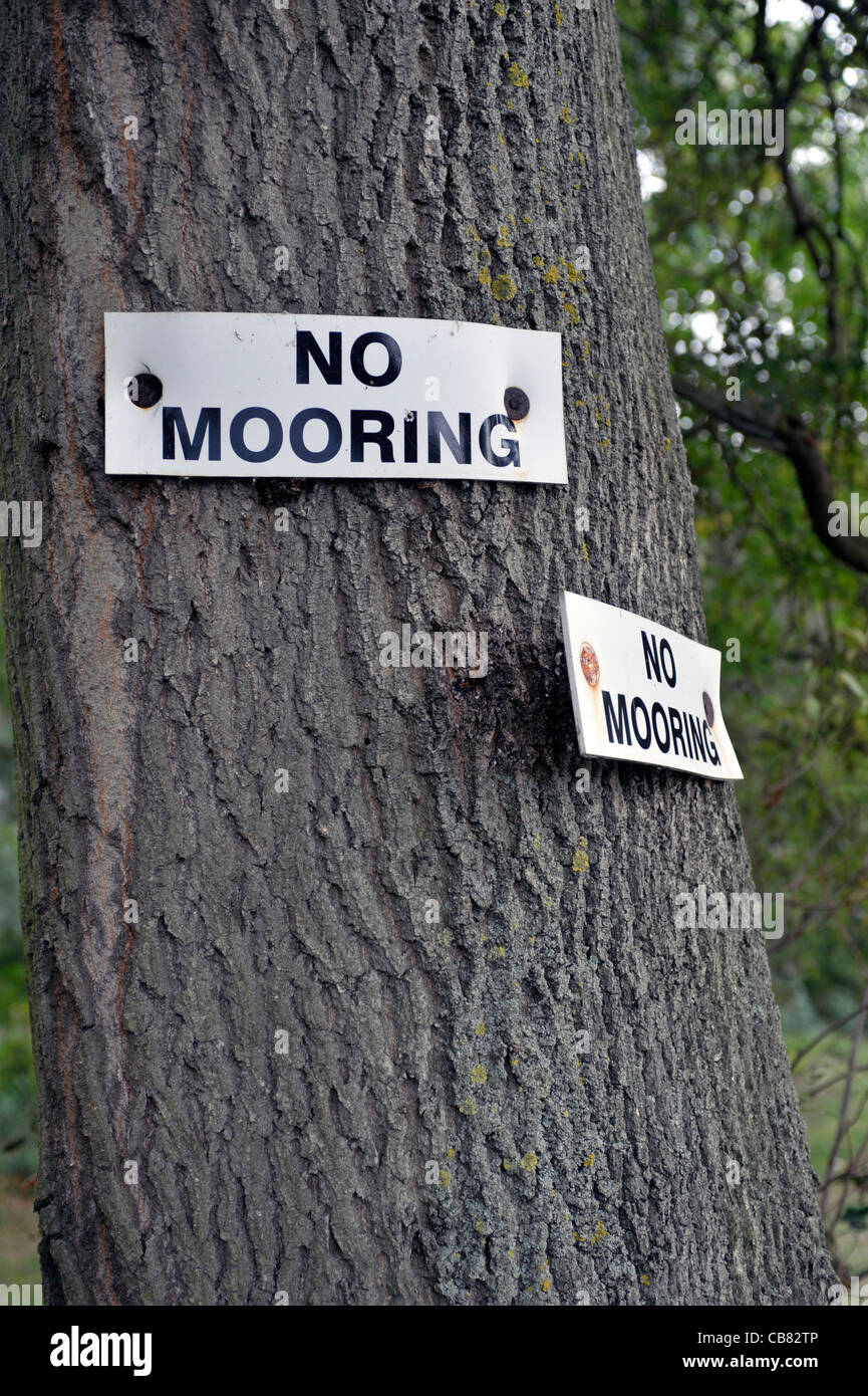old tree with no mooring sign Stock Photo - Alamy