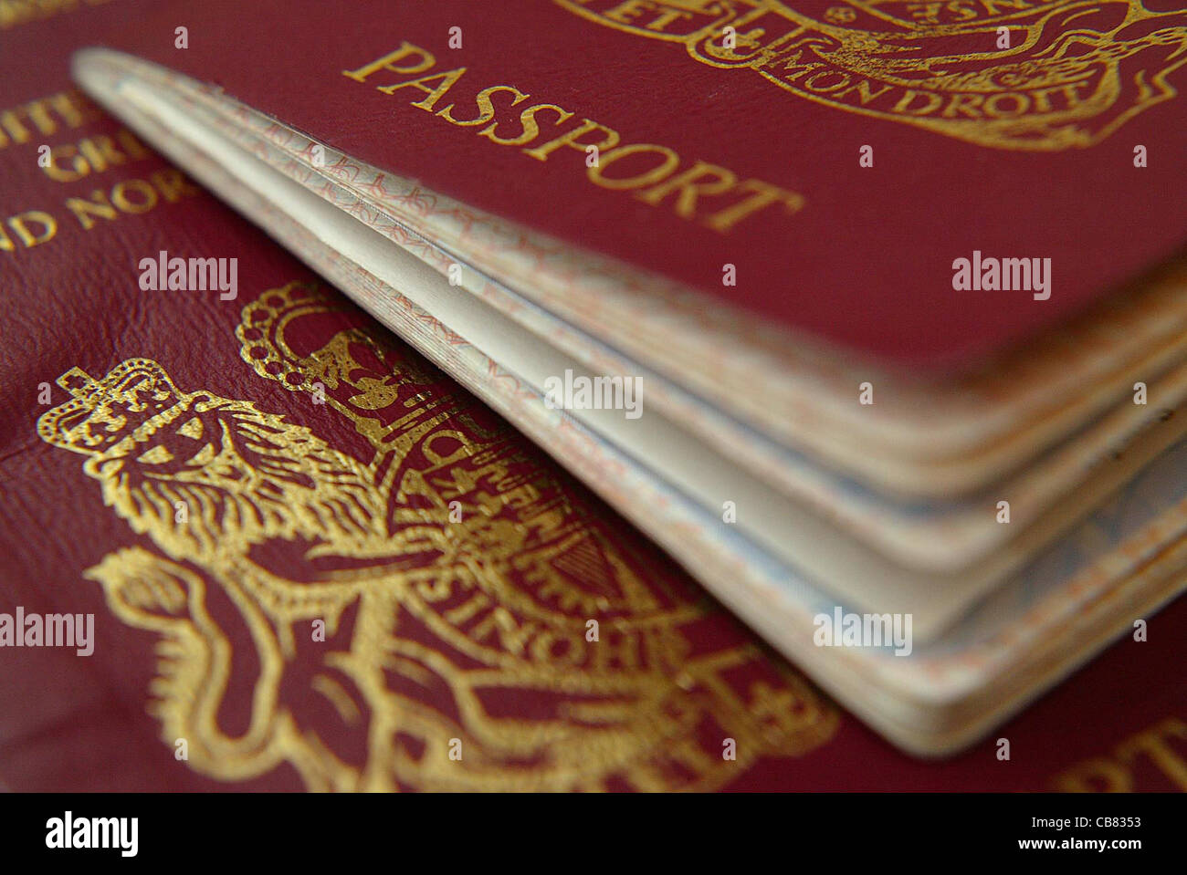 Passport picture hi-res stock photography and images - Alamy