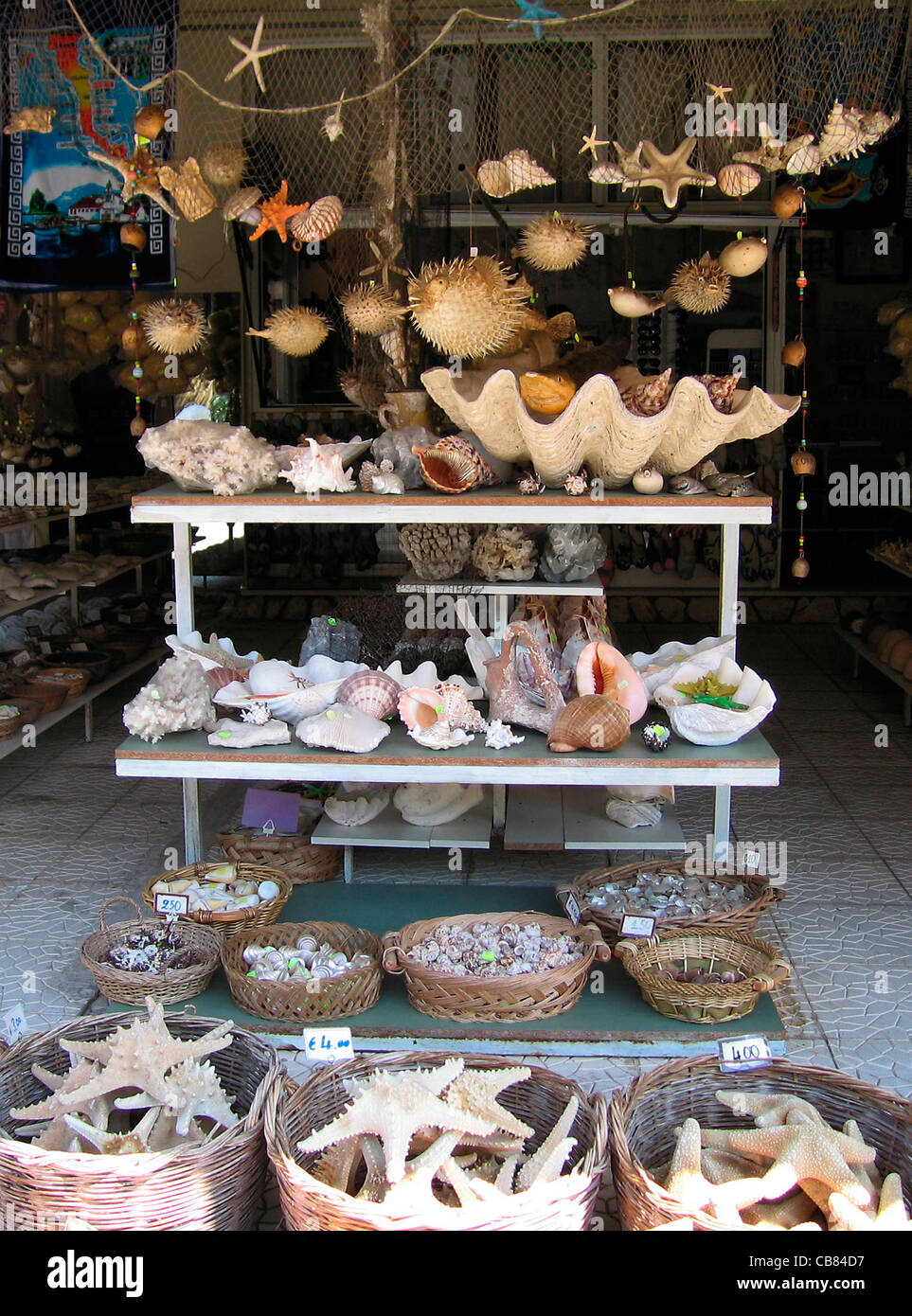 market, business, trade, souvenir, gift shop, sale, sea, fish, shell ...