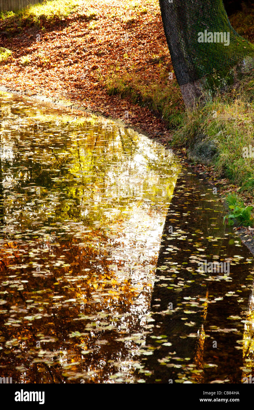 Impression of a warm day in early fall Stock Photo - Alamy