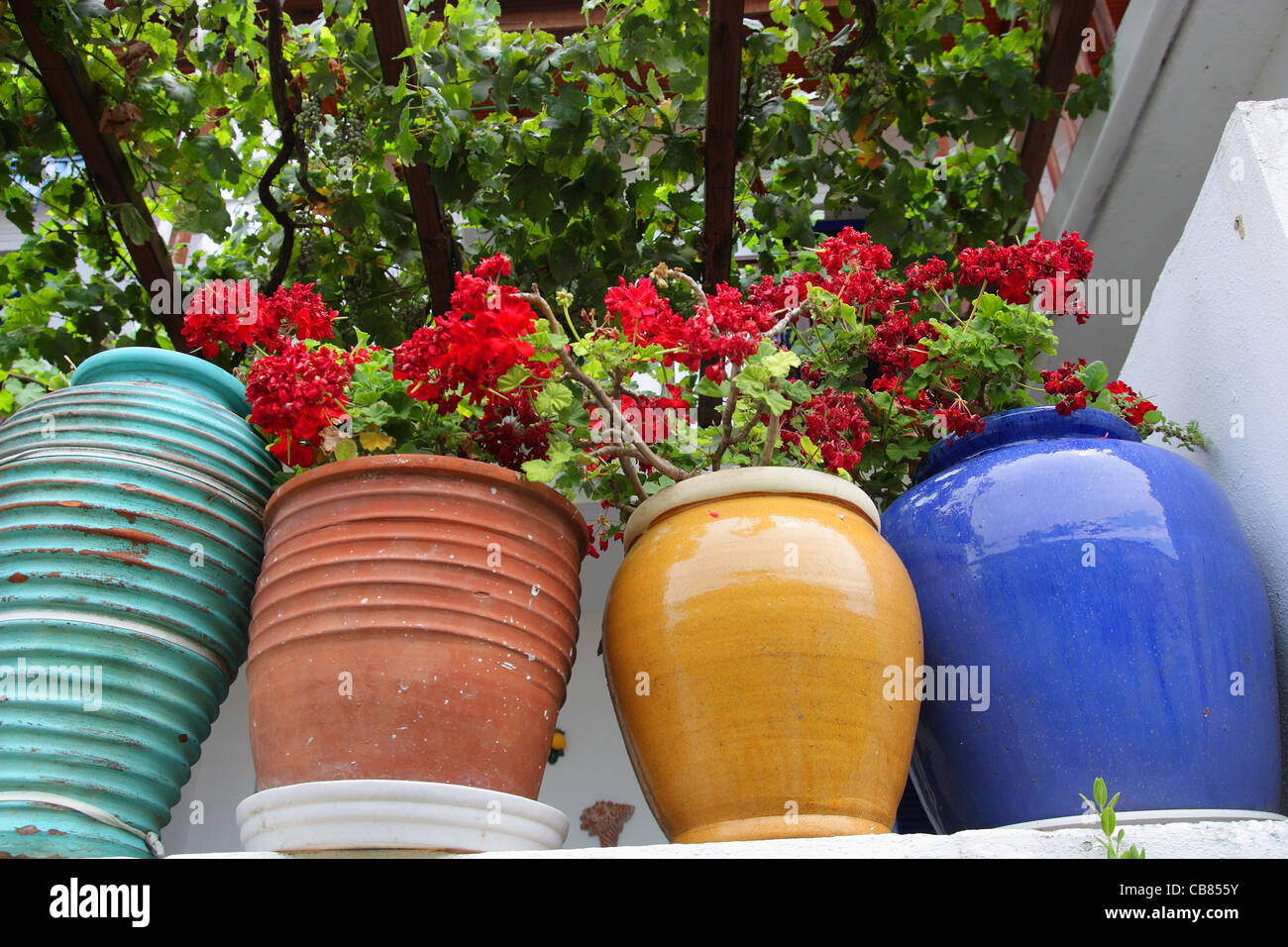 Colourful flower pots at Alonissos, Greece Stock Photo - Alamy