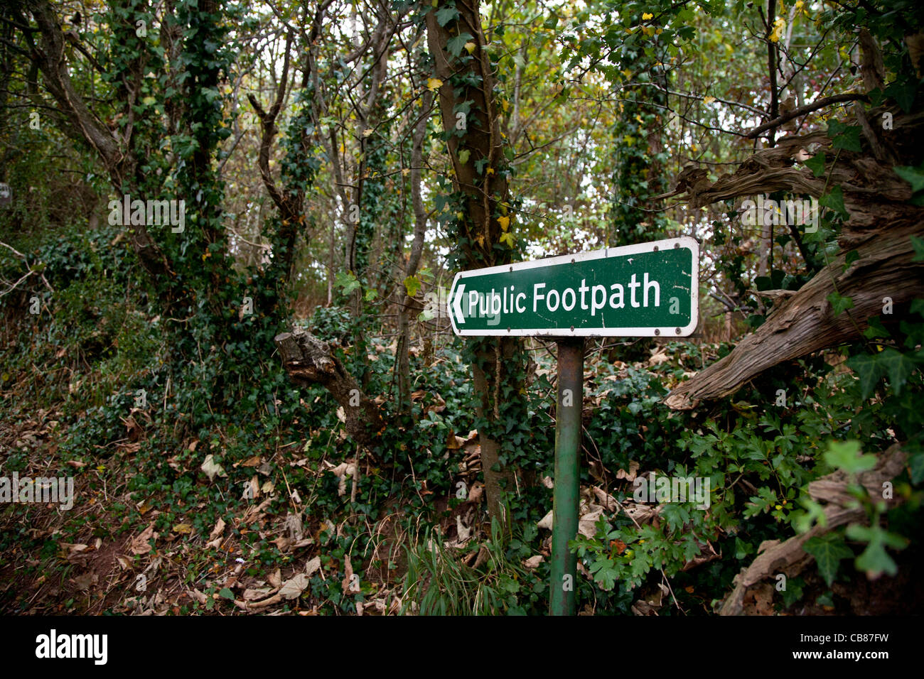 Public footpath sign in a wooded lane, Devon, England Stock Photo - Alamy