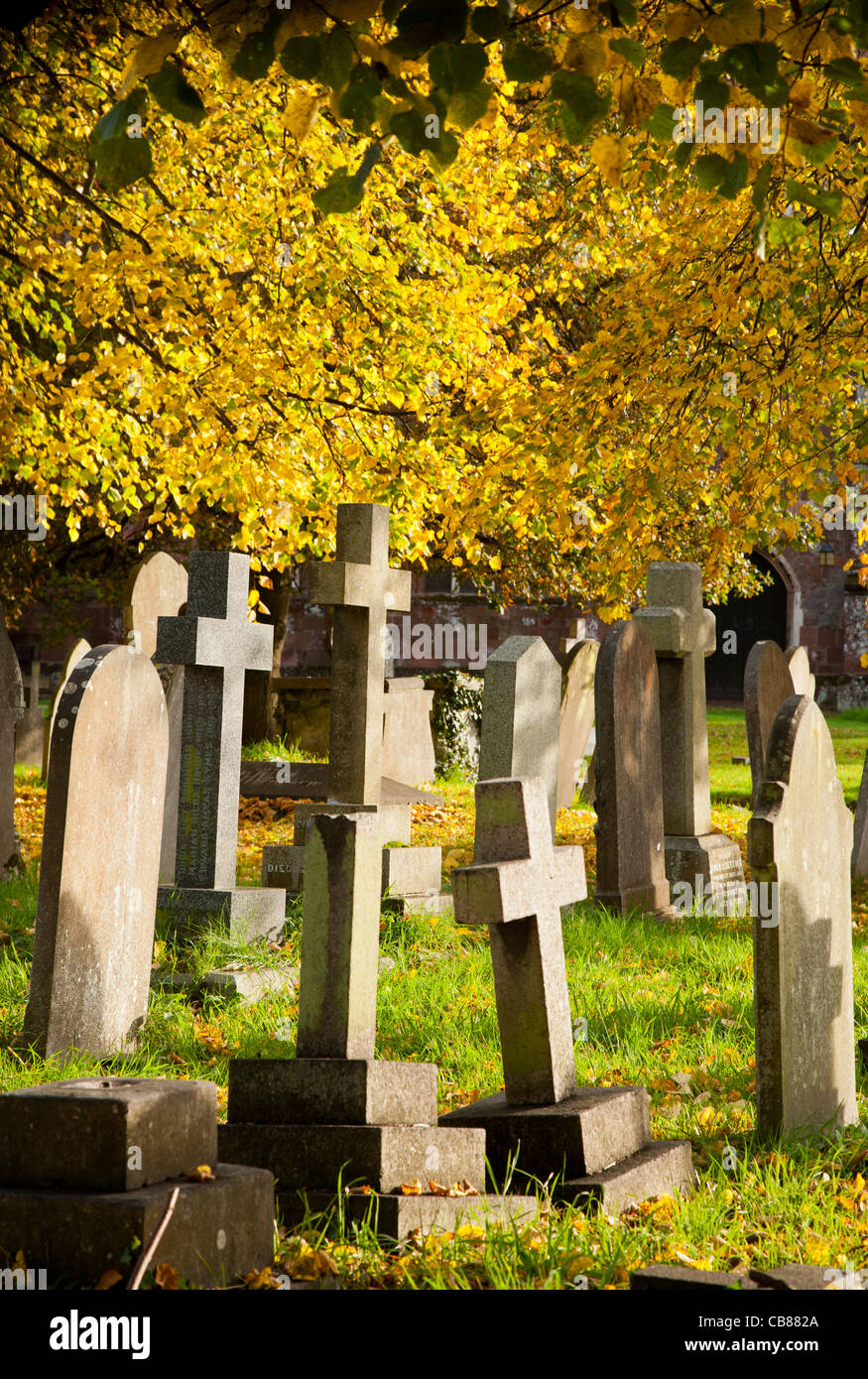 Graveyard in autumn - part of a managed conservation area, Crediton ...