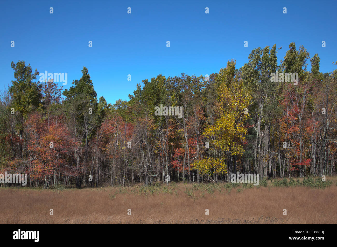 Colorful parkway hi-res stock photography and images - Alamy