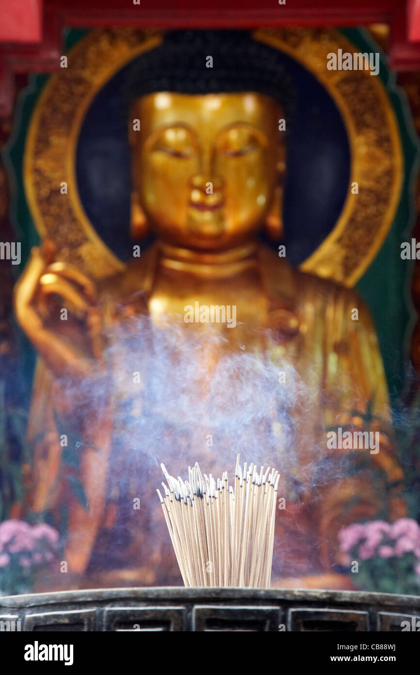 burning incense in a buddhist temple sha tin, hong kong, hksar, china ...