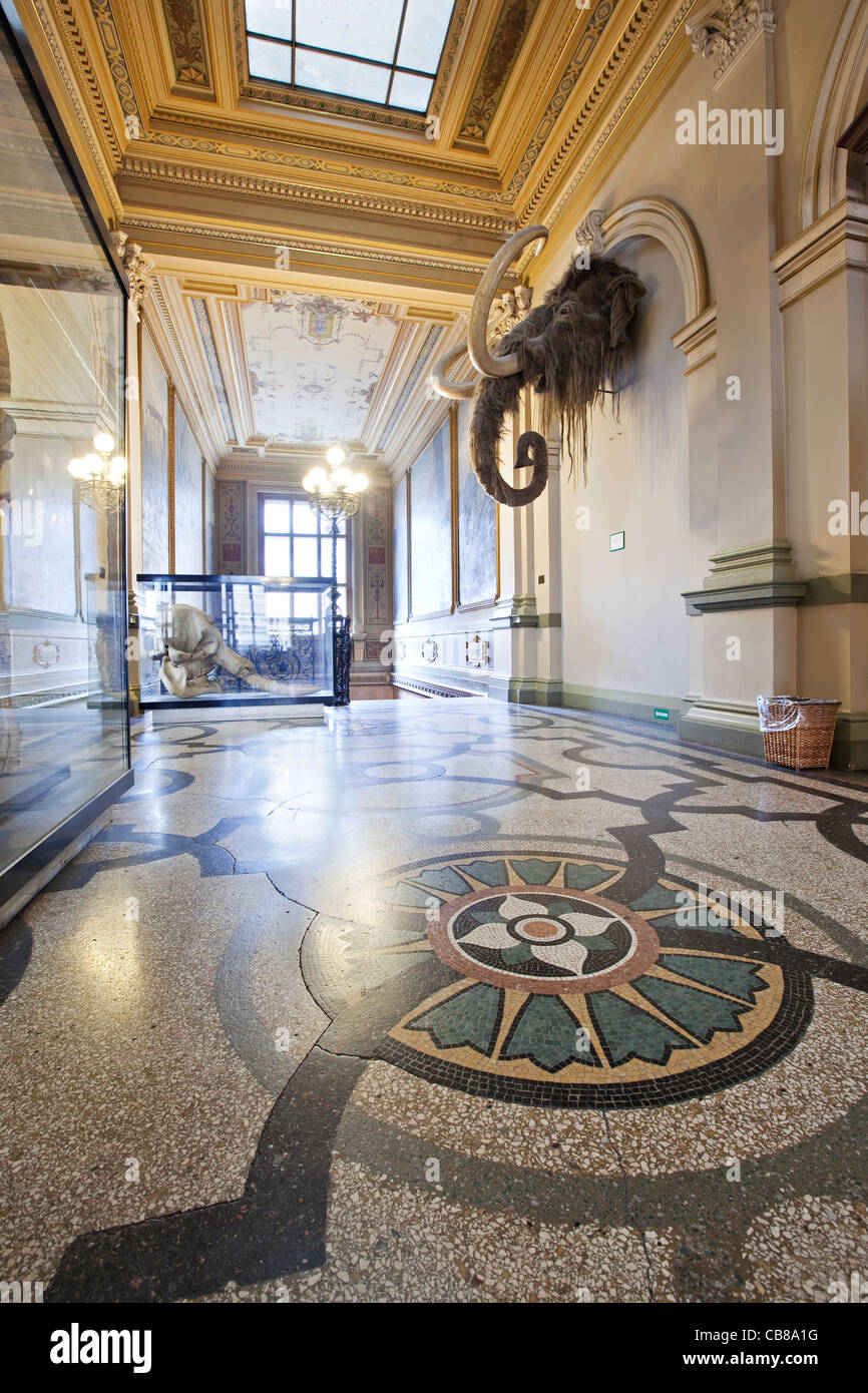Interior of the National Museum in Prague, Czech Republic. Museum was ...