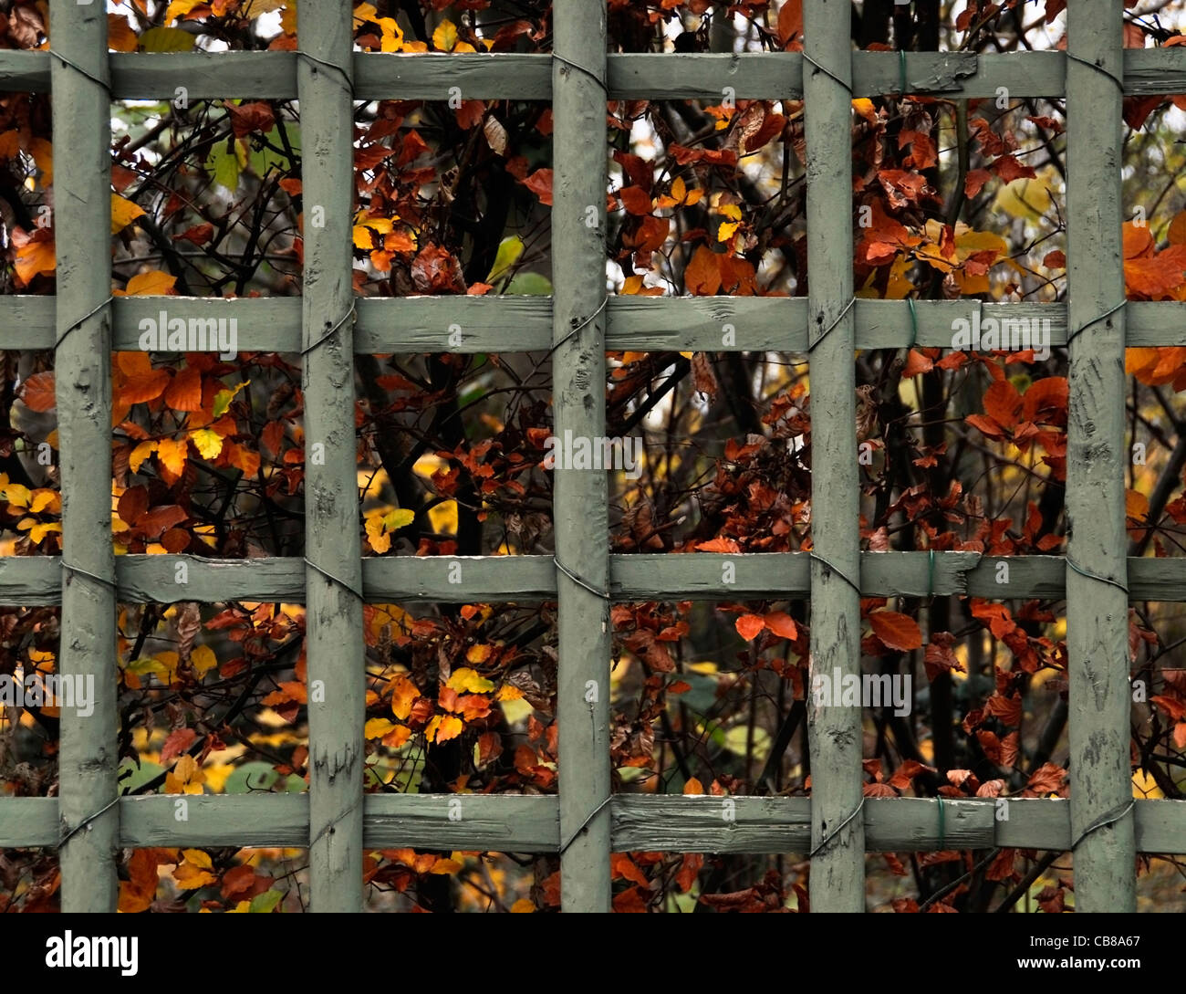 Fall foliage garden fence hi-res stock photography and images - Alamy