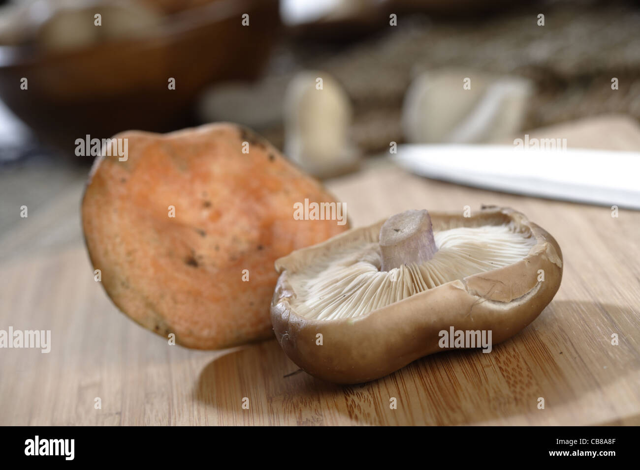 Niscalo (robellon rovello) and blue foot mushrooms Stock Photo - Alamy
