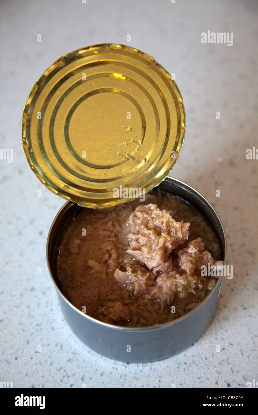 Open Can Of Tuna Stock Photo - Alamy