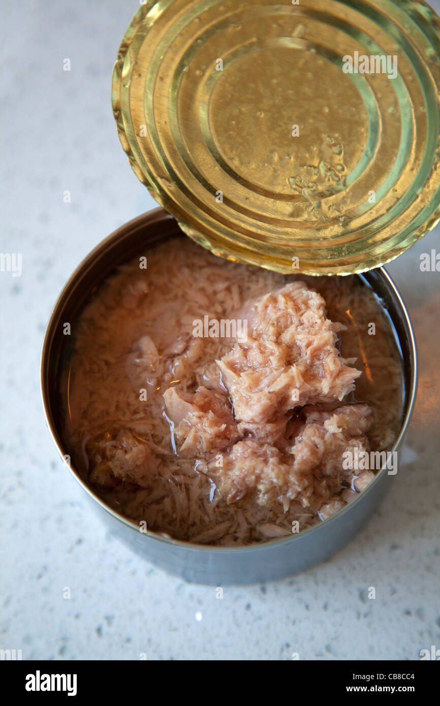 Open Can Of Tuna Stock Photo - Alamy