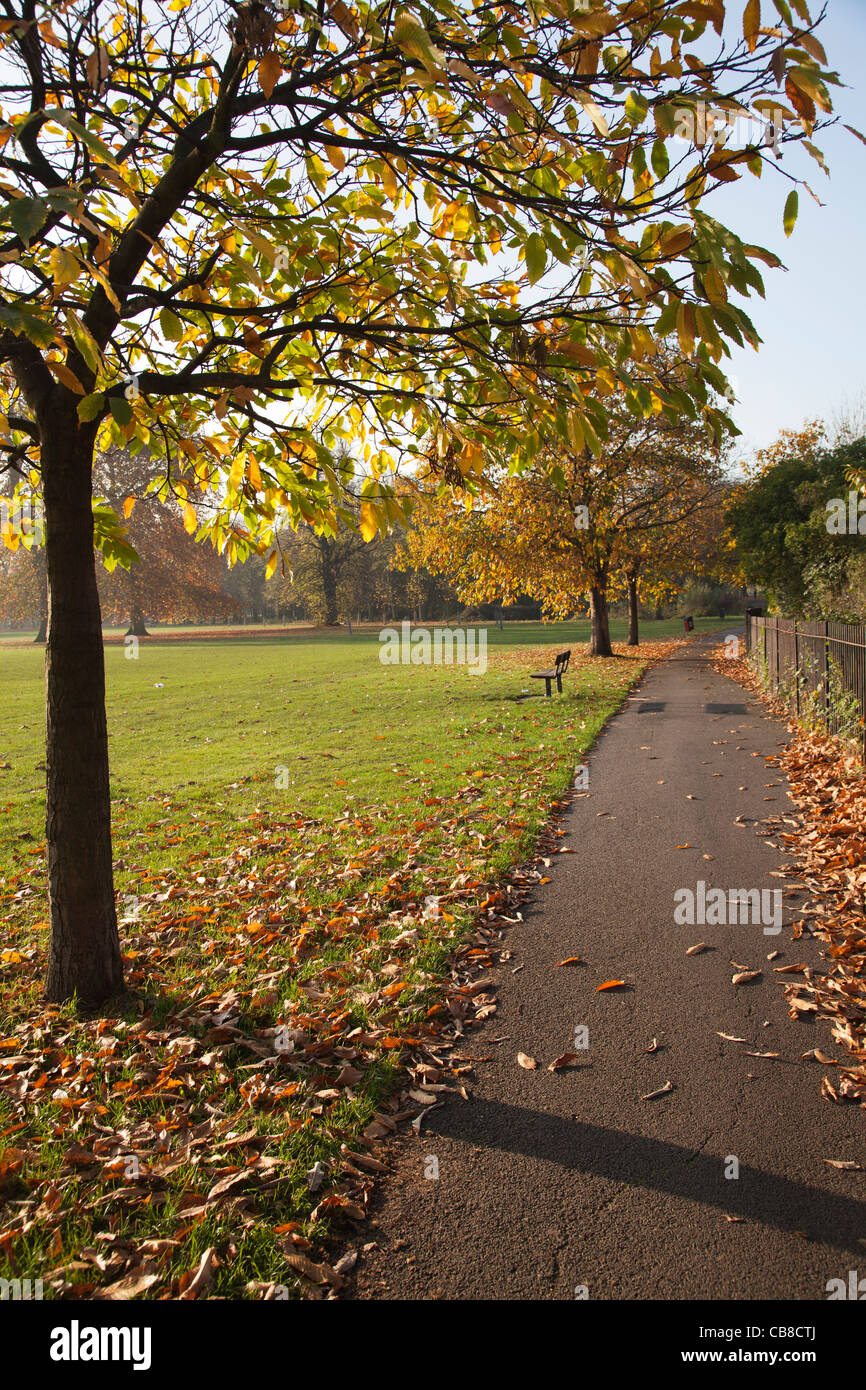 Clapham Common Autumn Path Stock Photo - Alamy