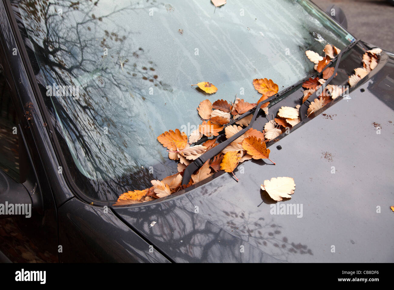 Car autumn leaves uk hi-res stock photography and images - Alamy